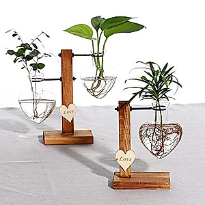 Beatae Hydroponic Glass Planter, Heart Shaped Glass Vase with Retro Solid Wood Stand Glass Flower Pot for Home Garden Office Wedding Decoration