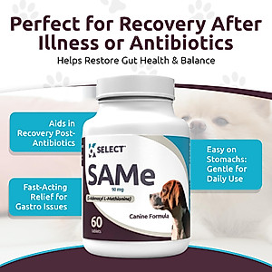 K9 Select Probiotic for Dogs, with Inulin - 90 Chewable Tablets - Supports Healthy Digestion and Nutrient Absorption - Dog Probiotics and Digestive Enzymes - Probiotics for Dogs Digestive Health