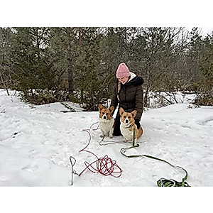 Katzco Chrome Dog Stake - Heavy-Duty Dog Tie-Out Stake- for Dogs Essentials, Dog Camping Gear, Outdoor Play