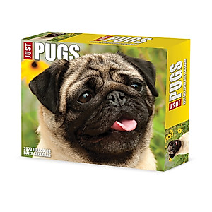 Pugs 2023 Box Calendar