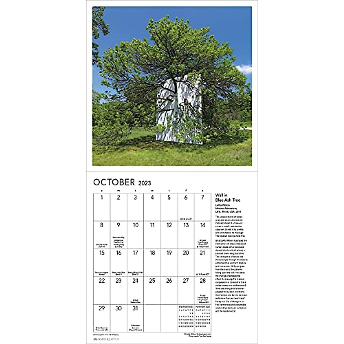 Environmental Art 2023 Wall Calendar: Contemporary Art in the Natural World | 12" x 24" Open | Amber Lotus Publishing