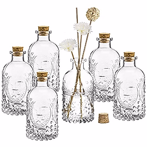 MyGift Vintage Design Embossed Fleur De Lis Clear Glass Bottles with Cork Lid, Apothecary Flower Bud Vases, Set of 6