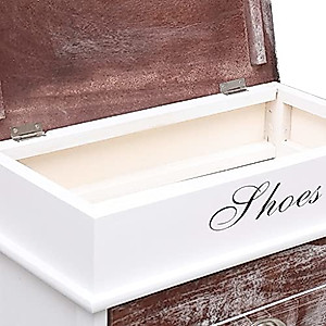 Shoe Cabinet Storage File Rack Organizer for Filing Kitchen Bathroom Toilet Pantry Corner Home Holder Shelf Outdoor Indoor Wall Garage Lock Brown 19.7"x11"x38.6" Paulownia Wood