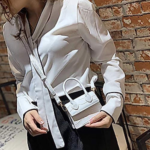 Cute Purse Mini Crossbody Bags for Women Girls Top Handle Clutch Handbag (White Crocodile)