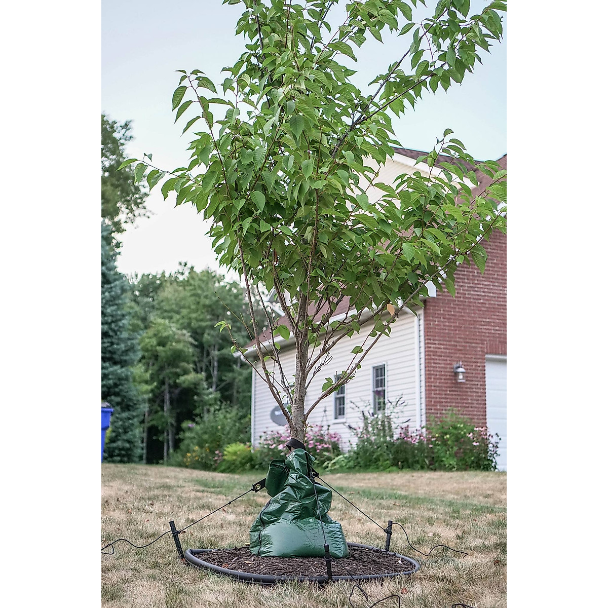 Tree Watering Bag 20 Gallon - Slow Release Drip Irrigation Bag + Staking Kit + Trunk Sleeve