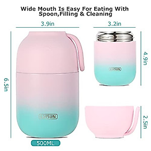 17 Oz Insulated Food Thermos Soup Thermos for Hot Food Kids Adults, 304 Stainless Steel Lunch Box Food Container with Folding Spoon, Vacuum Insulated Portable for School, Office, Outdoor (Pink)
