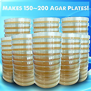 Nutrient Agar Powder 100 Grams - Evviva Sciences - Makes Over 150 to 200 Agar Petri Dishes - Easy to Use - Great Science Fair Projects - W/Experiment Ebook