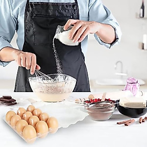 Plastic Egg Cartons Bulk, 48 Packs Empty Clear Plastic Egg Carton Holds Up to 12 Eggs, Reusable Chicken Egg Tray Holders for Family Pasture Chicken Farm, Business Market Display,