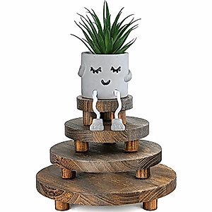 4 Pieces Wooden Plant Stand, Mini Displays Risers, Wood Round Stool Pedestal Riser Kitchen Bathroom Counter Decor Soap Holder Tiered Tray Decor Stand for Indoor Outdoor Home Patio Decoration (Brown)