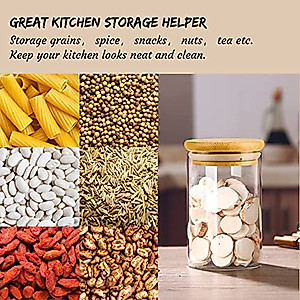 TANGLONG Glass Jars With Bamboo Lids Set, Glass Jars With Wood Lids 8 oz, Large Spice Jars, Glass Storage Containers For Pantry , Cookie, And Coffee SET OF 16