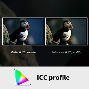 Plustek OpticFilm 8200i SE , 35mm Film & Slide Scanner. 7200 dpi / 48-bit Output. Integrated Infrared Dust/Scratch Removal. Bundle Silverfast SE Plus 8.8 , Support Mac and PC.