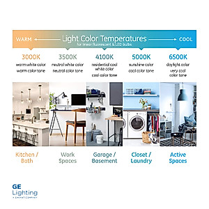 GE Garage and Basement Circline Cool White Bulbs, 8.25 Inch Diameter, FC8 T9 Light Bulbs (1 Pack)