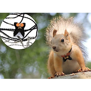 Squirrel Traction Rope Strap Anti-Biting Chain Rope, Adjustable Vest, Small Animal Walking Harness with Lead Leash with Free Collar for Hamster Gerbil Rat Mouse Ferret Chinchilla (Black with Blue)