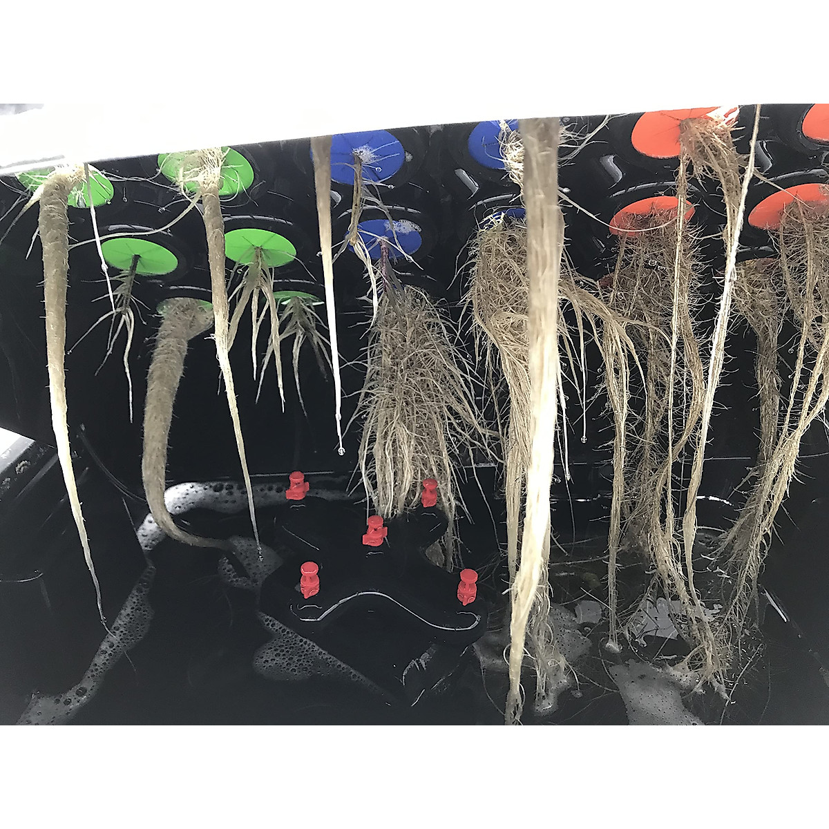 Viagrow® VCLN24 Clone Machine 24 Site Aeroponic Hydroponic System ...