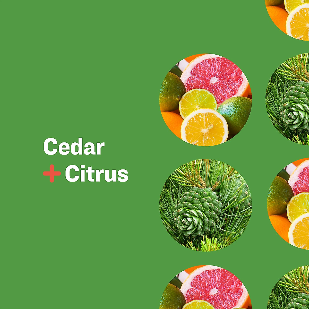 Everyone 3-in-1 Soap, Body Wash, Bubble Bath, Shampoo, 32 Ounce (Pack of 2), Cedar and Citrus, Coconut Cleanser with Organic Plant Extracts and Pure Essential Oils (Packaging May Vary)