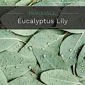 Candle-lite Premium Eucalyptus Lily Scent, 14 oz. 3-Wick Aromatherapy Candle with up to 45 Hours of Burn Time, Green