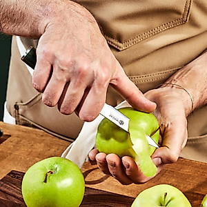 HexClad Paring Knife, 3.5-Inch Japanese Damascus Stainless Steel Blade, Pakkawood Handle