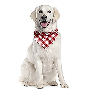 Birthday Plaid Dog Bandana with Button, Dual Layer Scarf Soft Cotton Triangle Bib Girls and Boys Kerchief Adjustable Accessories for Small Medium Large Extra Large Dog Puppy Pet Cat