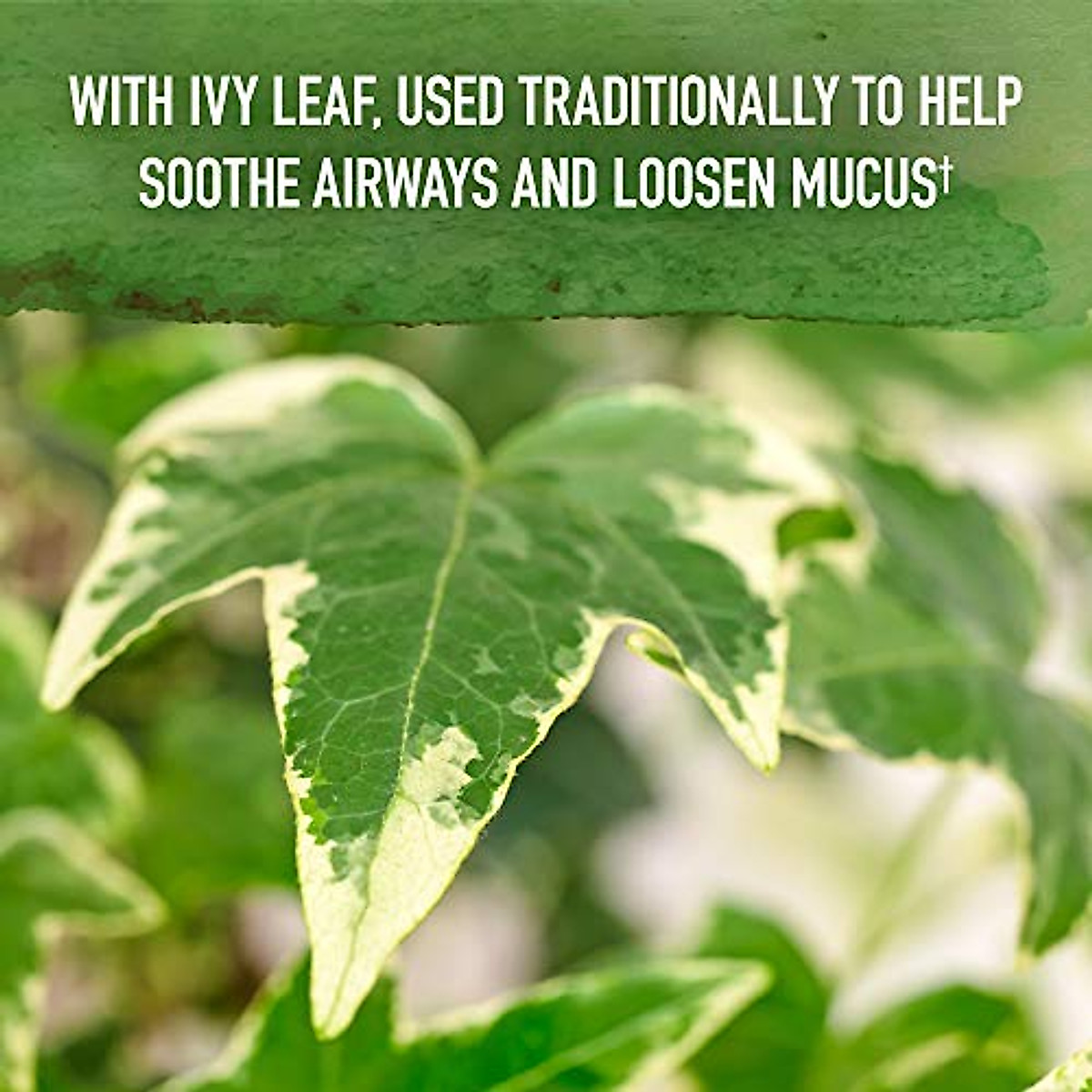 Garden of Life Elderberry Zinc Immune Support for Adults and Kids 12 & Older, mykind Organics Cough & Mucus Immune Syrup 5 fl oz with Ivy Leaf, Vitamin C and Echinacea, No Added Sugars