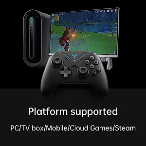FLYDIGI Vader 2 Wireless Game Controller, Configurable Multi-Platform Gamepad, Dual Vibration, 6-axis Motion Sensing, DOES NOT SUPPORT IOS 13.4 AND ABOVE (Grey)