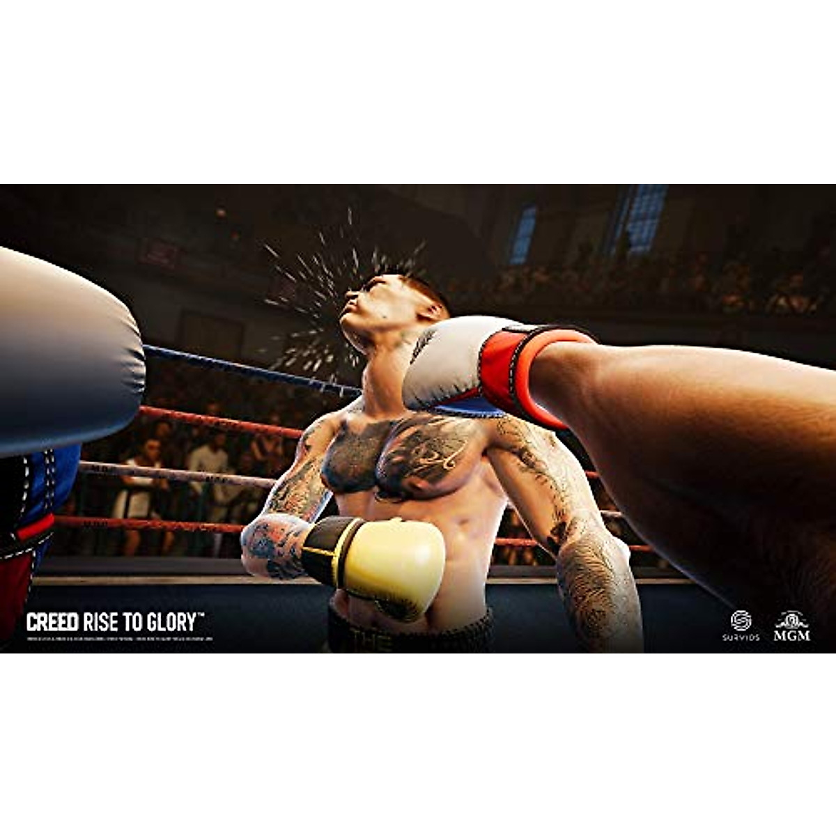 Creed: Rise to Glory (PSVR) (PS4)