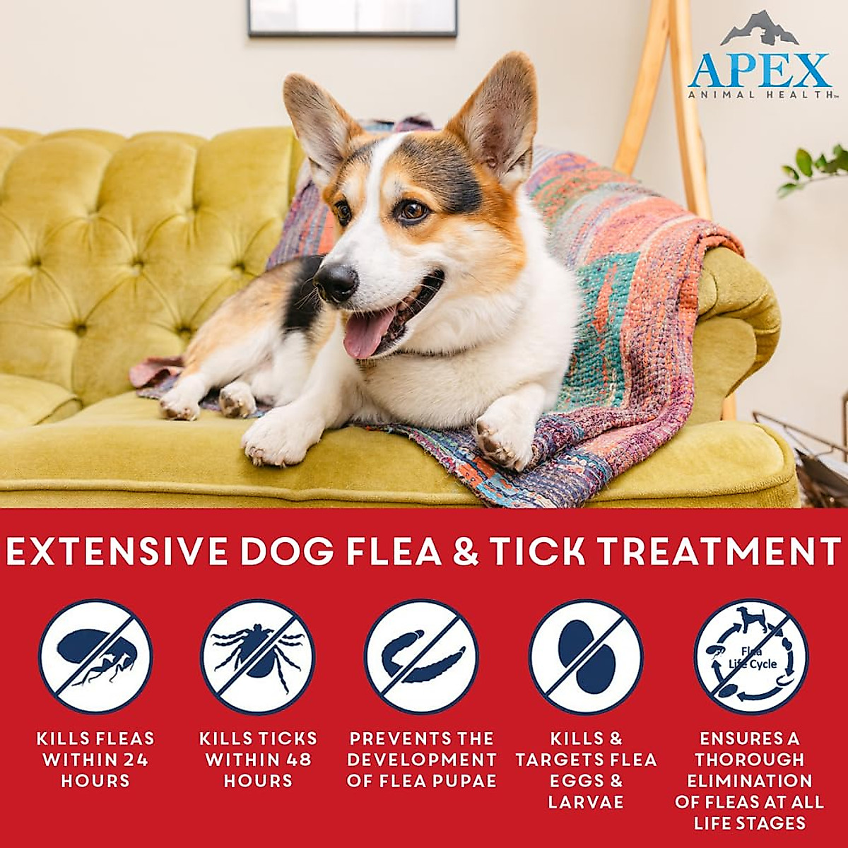 Apex Plus Flea and Tick Prevention for Dogs | X-Large (89-132 lbs) | 3-Month Supply | Dog Flea and Tick Treatment | 24-Hour Activation, Waterproof, 30-Day Protection