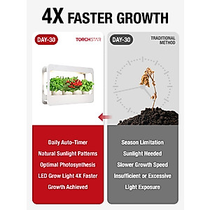 TORCHSTAR LED Indoor Herb Garden, CRI 95+, Herb Grower Light with Timer, Indoor Gardening System, Full Spectrum Light, 24V Garden Kit for Plant Grow Novice, White, 4000K, Pots & Plants Not Included