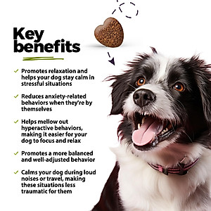 ANP Premium Organic Hemp Oil Calming Chews for Dogs - No Animal Proteins Separation Anxiety & Stress Relief - Clinically Studied KSM-66® Ashwagandha - Promotes Relaxation, Improves Sleep - Made in USA