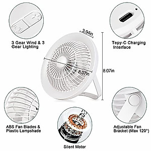 Depuley Portable Table Fan and LED Light, 8" Battery Operated Personal Desk Fan for Hanging or Tabletop Use, 4000mAH Outdoor Small Rechargeable Quiet Camping USB Fans with 3 Speeds for Tent, Office