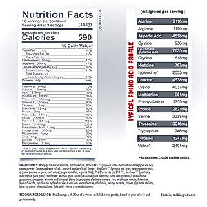 Betancourt Nutrition Lean Gainz Protein Blend, Natural Protein, Carbohydrates, Saturated Fatty Acids, Powder 5.3 lb. (16 Servings), Chocolate Brownie