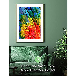 SEOKOK Remanufactured Ink Cartridge Replacement for Epson 220 XL 220XL T220XL, Used for WF-2760 WF-2750 WF-2630 WF-2650 WF-2660 XP-320 XP-420 XP-424 Printer,5Pack