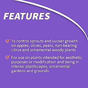 Bonide Sucker Punch, 8 oz Ready-to-Use Sprout Control Liquid with Brush Applicator, Plant Growth Regulator