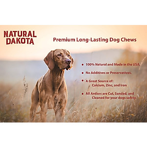 Natural Dakota Premium Deer Antler Dog Chew Toys (Small) Half-Pint