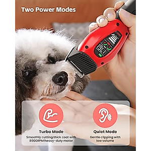 DOG CARE Smart Dog Clippers, Cordless Grooming Clipper Kit with Heatproof Blades, LED Display, 3 Speeds, Auxiliary Light, Rechargeable Heavy-Duty Professional Pet Hair Trimmer Shaver for Dog Cat