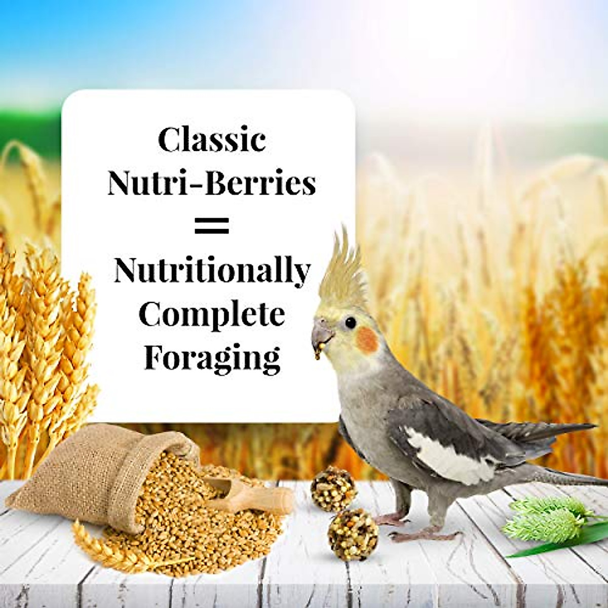 LAFEBER'S Classic Nutri-Berries Pet Bird Food, Made with Non-GMO and Human-Grade Ingredients, for Cockatiels (4 lb)