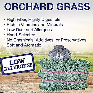 Grandpa's Best Orchard Grass Bale, 5 lbs,green