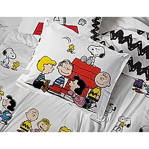 Jay Franco Peanuts Classic Pals 5 Piece Twin Bed Set - Includes Reversible Comforter & Sheet Set - Bedding Features Snoopy & Charlie Brown - Super Soft Fade Resistant Microfiber