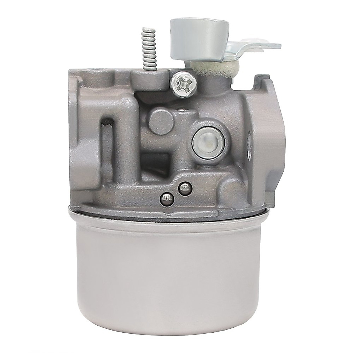 Carburetor for Briggs Stratton 791077 696981 698860 790182 694508 795069 698859 790180 790290 693865 697354 Craftsman Tiller Intek 190 6 HP 206 5.5hp Engine 120202 120212 120232