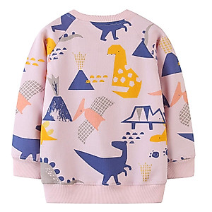 Bumeex Toddler Girl Sweatshirt Clothes Outfit,Cotton Pink Dinosaur Crewneck Christmas Clothing 4t