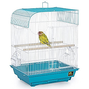 Prevue Pet Products South Beach Flat Top Bird Cage, Teal (SP50061)