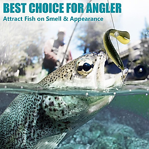 Soft Bionic Fishing Lure, Soft Plastic Fishing Lures, Bass Fishing Bait, Freshwater Top Water Saltwater Fishing Lures, Swim Baits for Bass Fishing, Bass Lures - 10 PCS