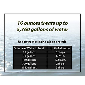 Bloom Buster Pond Algae Control - 16oz - Fast Acting Algaecide, Use in Fountains & Outdoor Ponds Containing Koi & Other Fish - EPA Registered