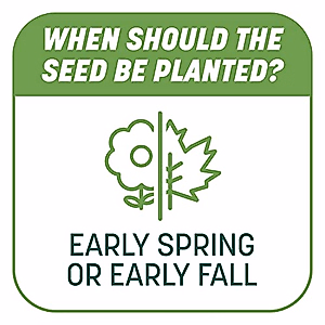 Pennington Smart Patch Tall Fescue Mix Jug 5 lb