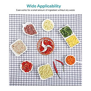 Electric Mini Garlic Chopper, Olrid Mini Chopper Food Processor, Garlic Mincer, for Chop Onion Ginger Vegetable Pepper Spice Meat, Baby Food (250ml)