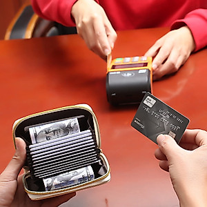 ENYISDAN RFID Blocking Leather Womens Wallet with Credit Card Case Zipper Pocket Small Credit Card Wallet Organizer Travel (Nebula)(Ladybug Pack Product Features.)