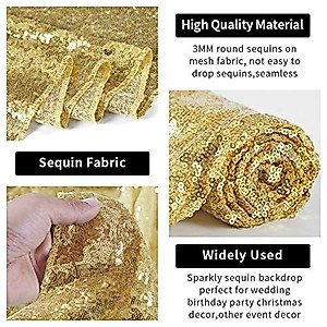 Hahuho Gold Sequin Backdrop Curtain, 2PCS 2FTx8FT Glitter Backdrop Curtain for Parties, Christmas, Wedding, Party Decoration（2 Panels, 2FT x 8FT, Gold