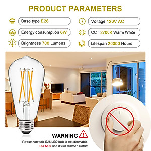 Ascher LED Edison Bulbs with 95+ CRI, 2700K