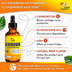 Cat Glucosamine | Dog Joint Supplement Liquid | Cat Vitamin | Dog Vitamin | Glucosamine for Cats and Dogs | Cats and Dog Vitamins and Supplements | Bundle