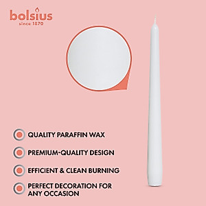 BOLSIUS Unscented 10 Inch Dinner Candles, 10 Pack - 8 Hour European Quality Smokeless Dripless Taper Candles for Home Décor