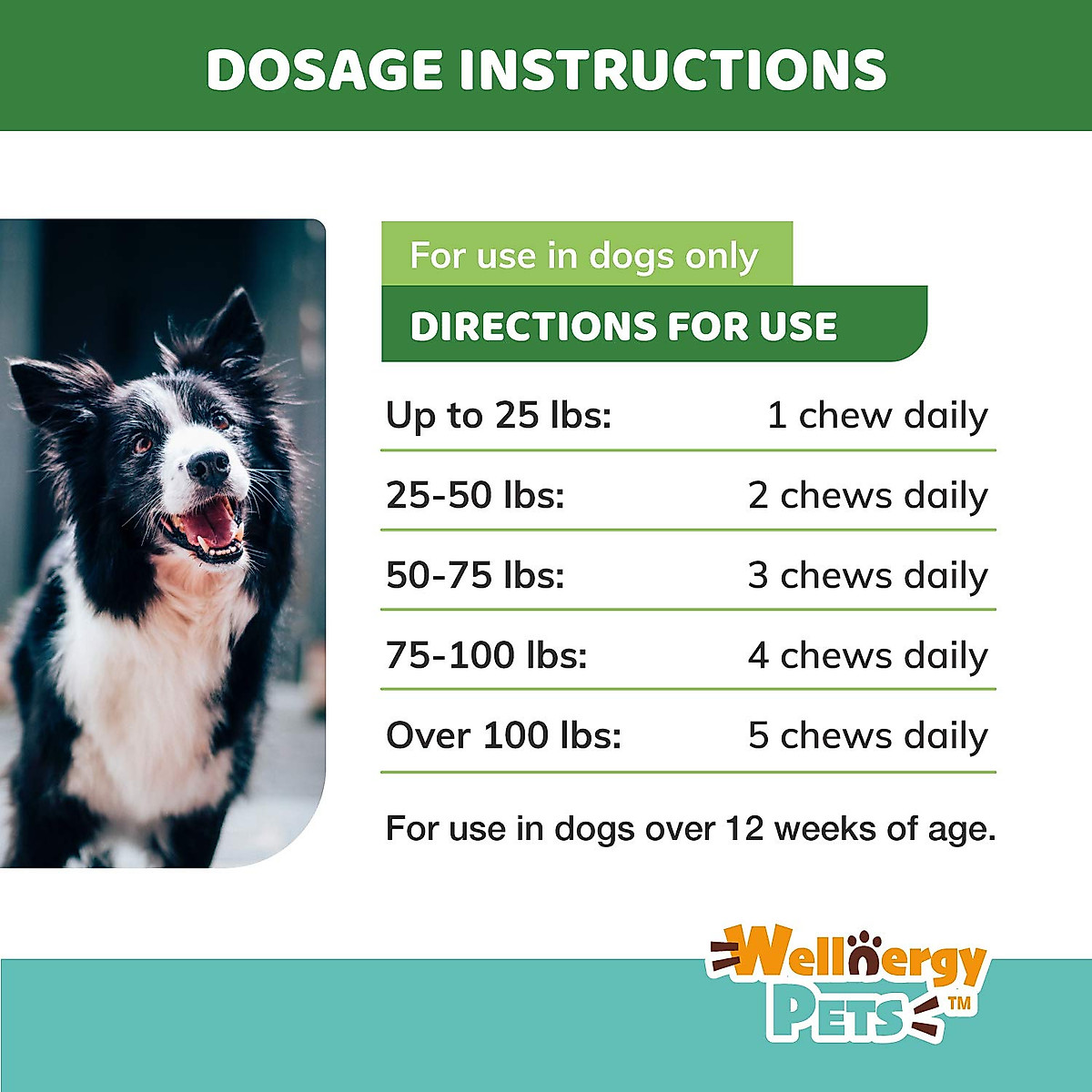 Wellnergy Natural Calming Chews for Dogs – Natural Organic Supplement- for Dogs with Stress, Separation Anxiety and Hyperactivity - 40ct Travel Pk